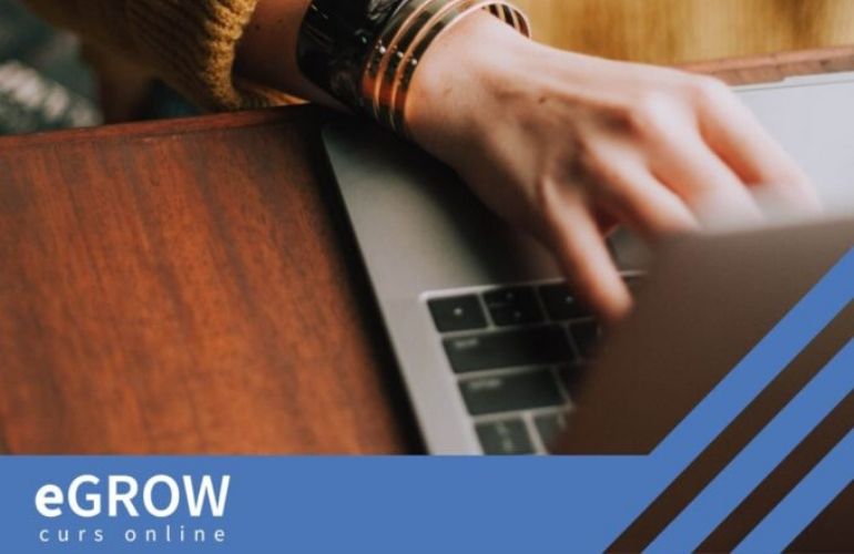 Cursuri de business - management | Learning Network Cursuri de business - management | Learning Network